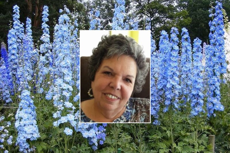 OBITUARY: Nancy Lee (Williams) Lewis - Robertson County Source