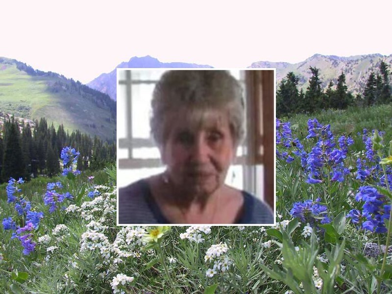 OBITUARY: Doris Annette Gorrell Mears - Robertson County Source